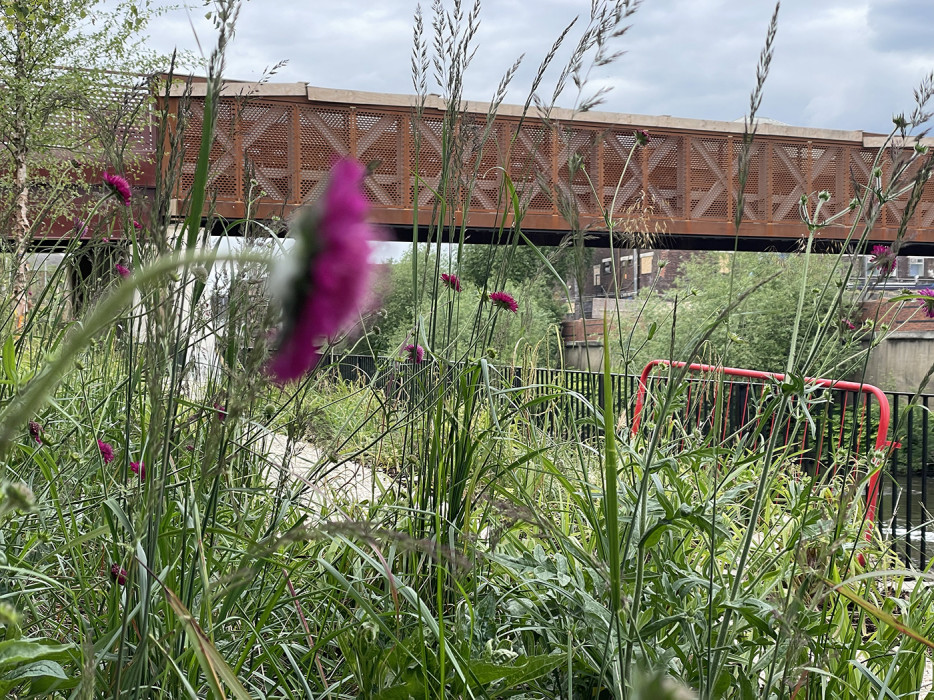 re-form landscape architecture