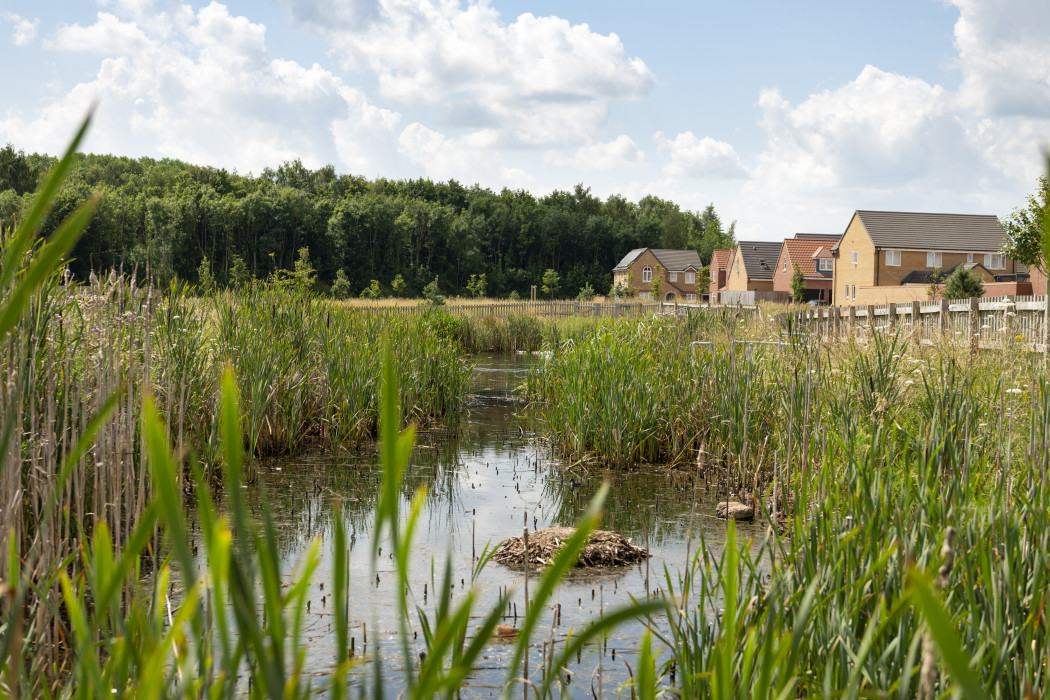 re-form landscape architecture
